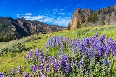 Join CampScanner To Snag Sold-Out Campsites at National Parks